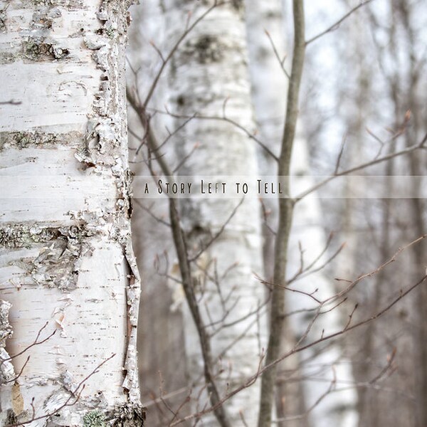 Tree Backdrop - Etsy