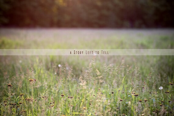 Senior Child Family Digital Background Field Backdrop | Etsy