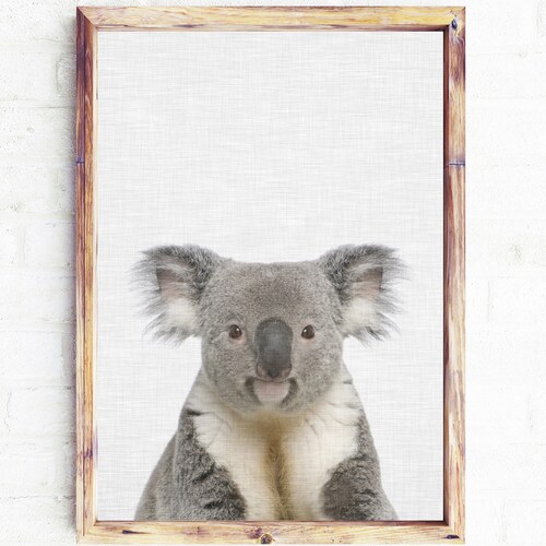 Australian Animals Prints Nursery Wall Art Decor Koala Poster - Etsy