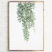 Printable Vine Poster, Green Botanical Wall Art Print, Vine Photography ...