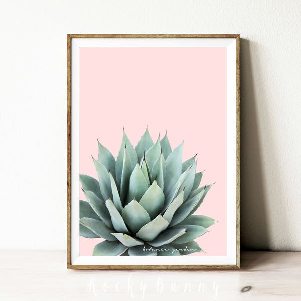 Succulent Photography, Southwestern Wall Art, Cactus Printable Poster ...