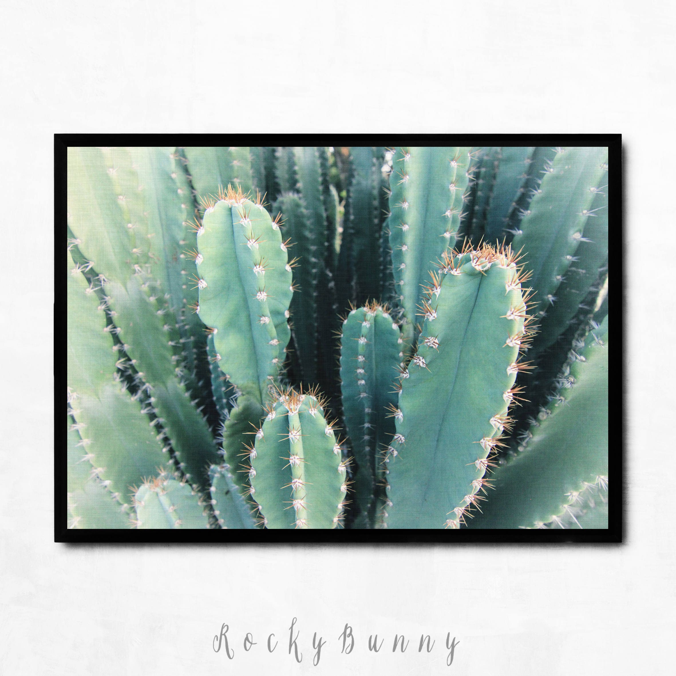 Printable Cactus Poster, Digital Download Photography Wall Art, Instant ...