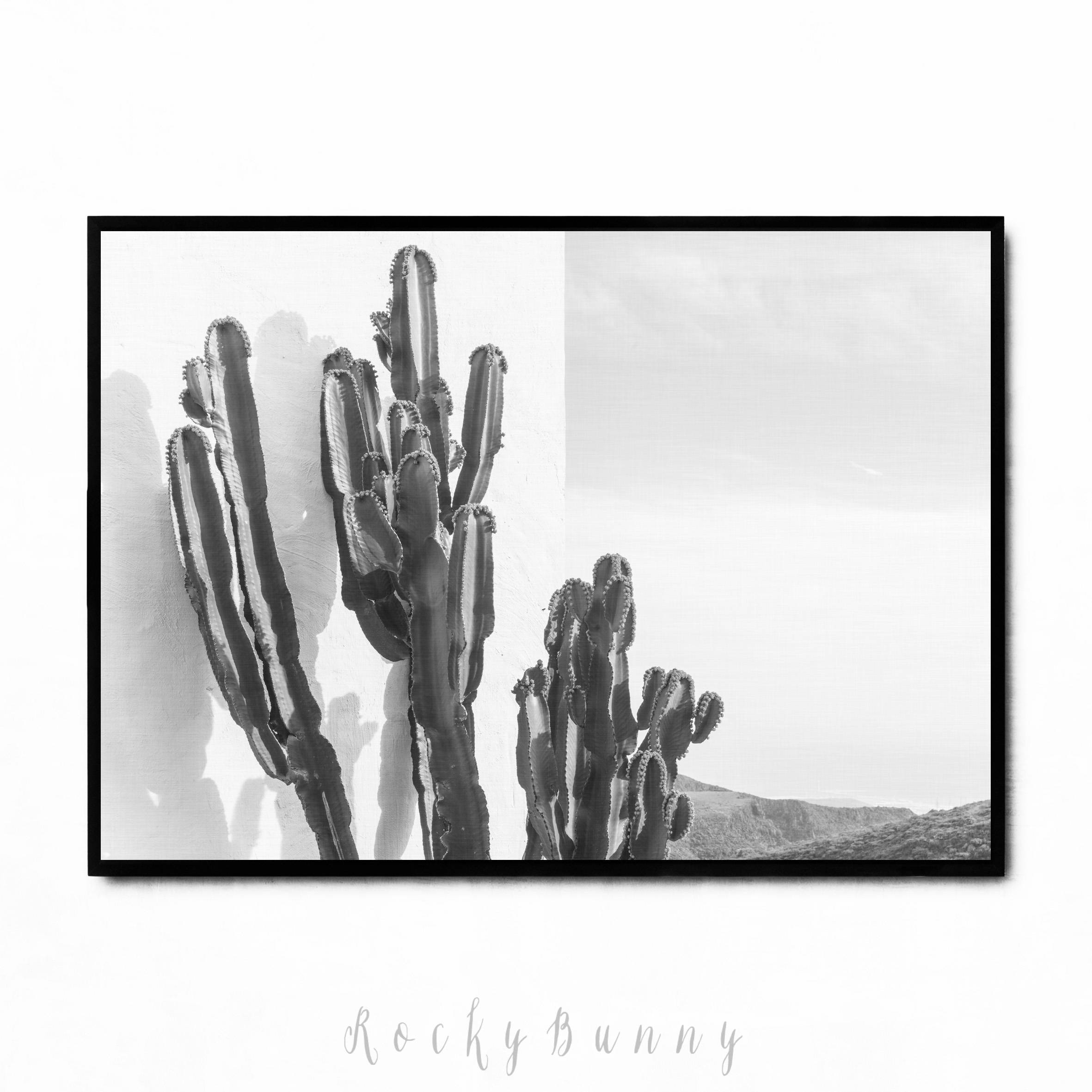 Contemporary Cactus Poster, Black and White Cactus Printable Art ...