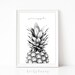 Pineapple Print Black and White, Printable Poster, Pineapple Wall Art ...
