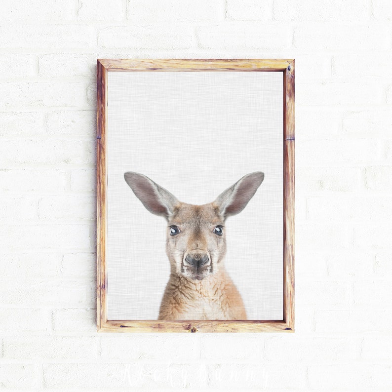 Australian Animal Prints Kangaroo Poster Wall Art Printable - Etsy