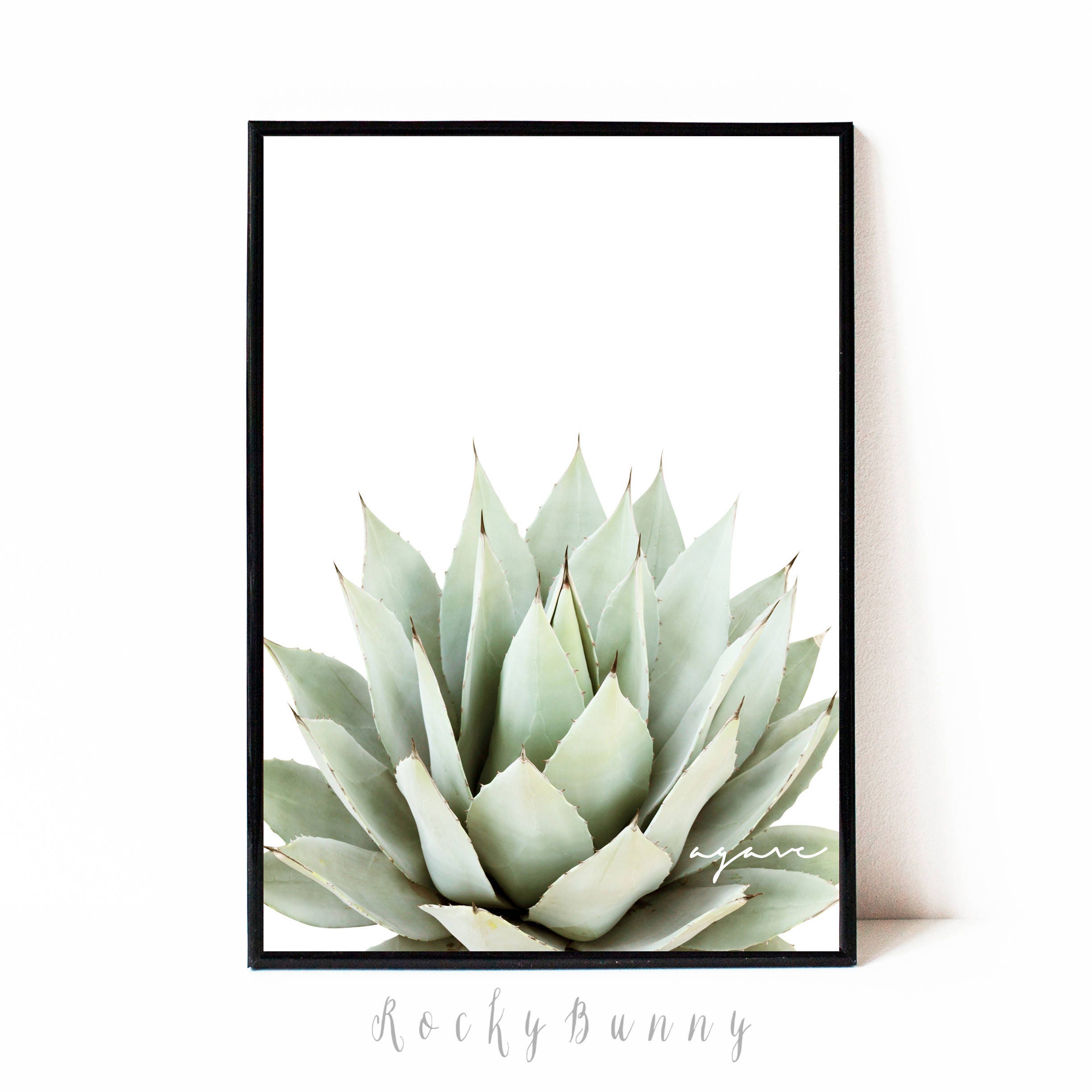 Contemporary Succulent Wall Art Print, Printable Poster, Agave Wall Art ...