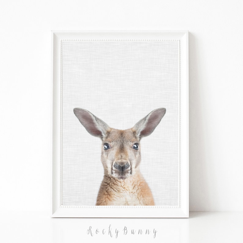 Australian Animal Prints Kangaroo Poster Wall Art Printable - Etsy