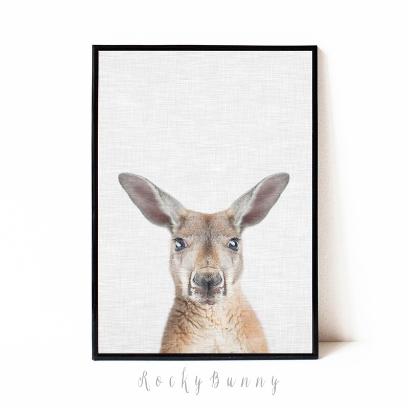 Australian Animal Prints Kangaroo Poster Wall Art Printable - Etsy