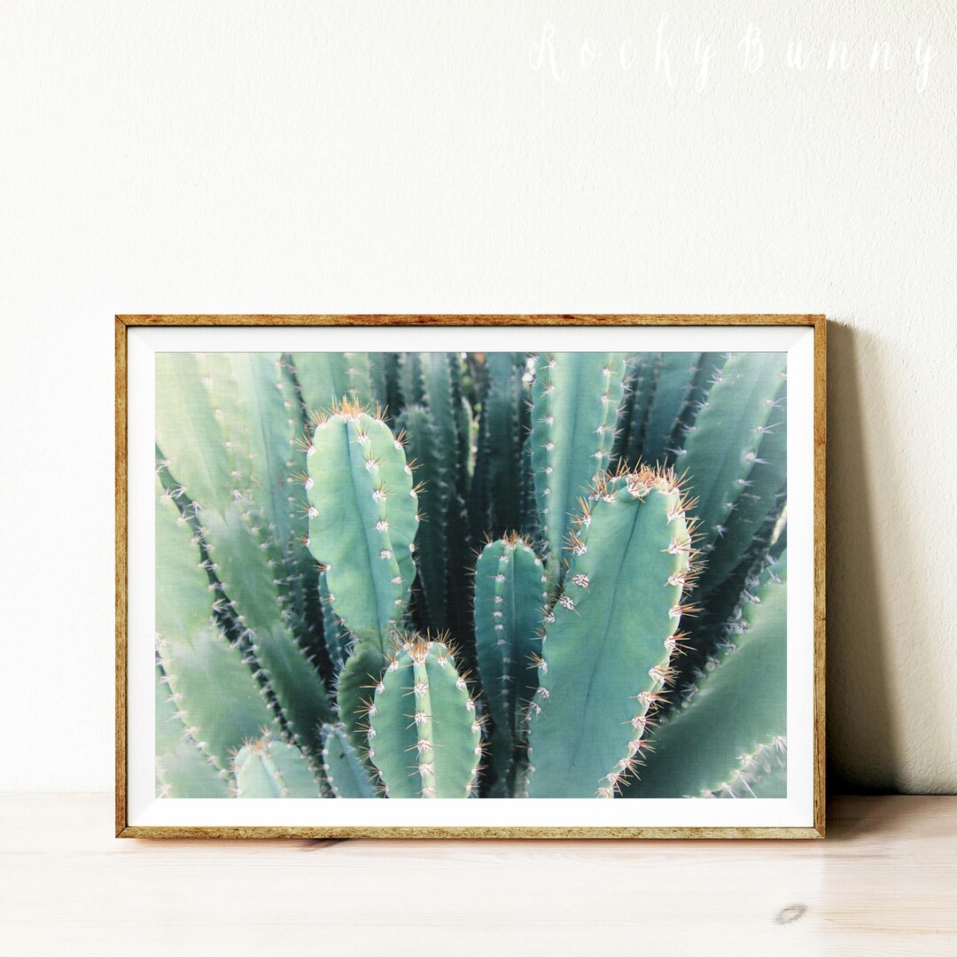Printable Cactus Poster, Digital Download Photography Wall Art, Instant ...