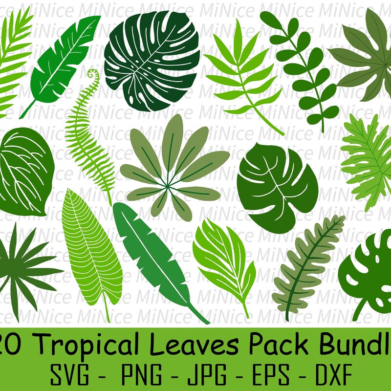 Tropical Svg - Etsy