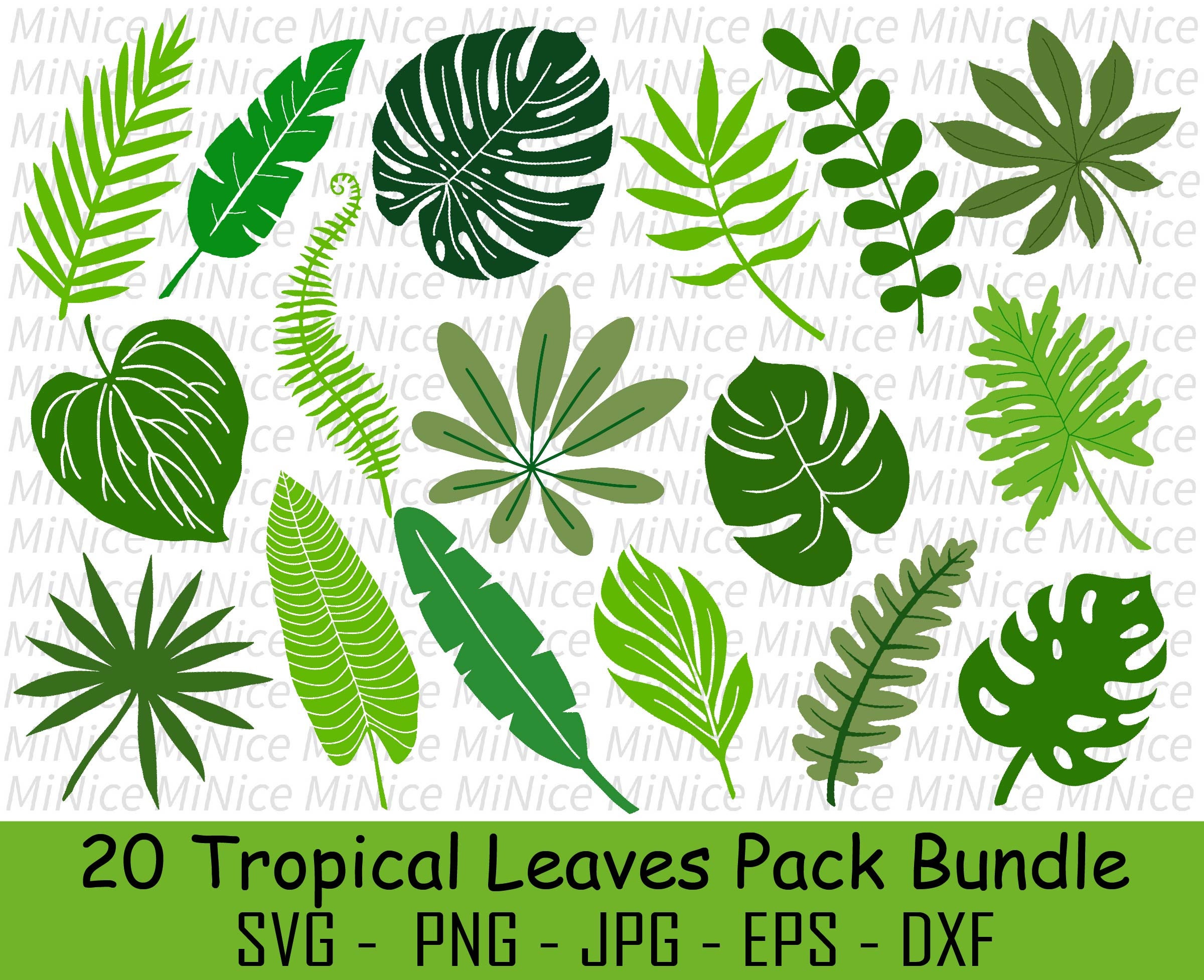 Tropical Leaves Svg Bundle Leaves Svg Leaf Silhouette Green Etsy