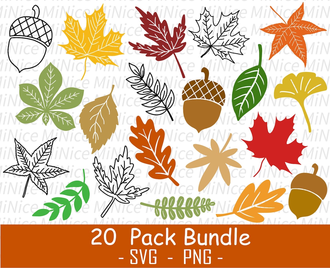 Fall Leaves SVG Bundle, Autumn Leaves Svg ,autumn Svg ,fall SVG Bundle ...