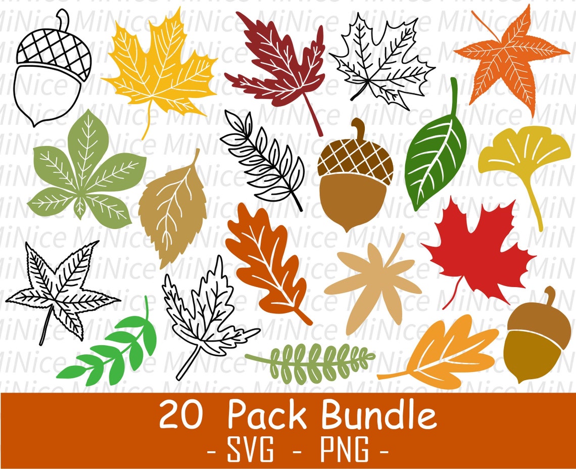 Fall Leaves SVG Bundle Autumn Leaves Svg autumn Svg fall | Etsy