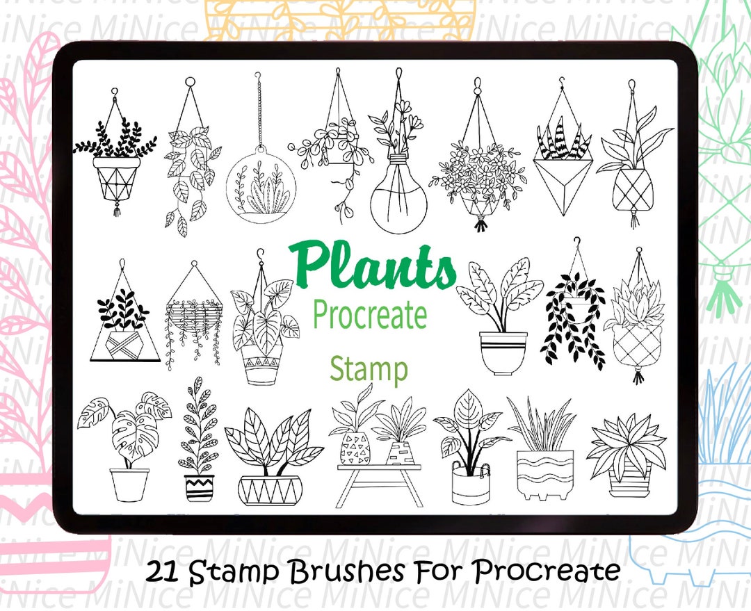 21 Hanging Plants Procreate Stamp Potted Plants Procreate Stamp Pack ...