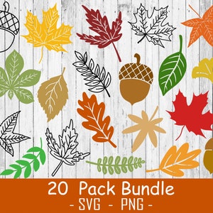 Fall Leaves SVG Bundle, Autumn Leaves Svg ,autumn Svg ,fall SVG Bundle ...