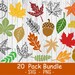 Fall Leaves SVG Bundle, Autumn Leaves Svg ,autumn Svg ,fall SVG Bundle ...