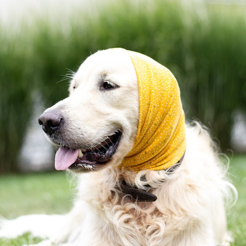 Cavalier Dog Snood - Etsy