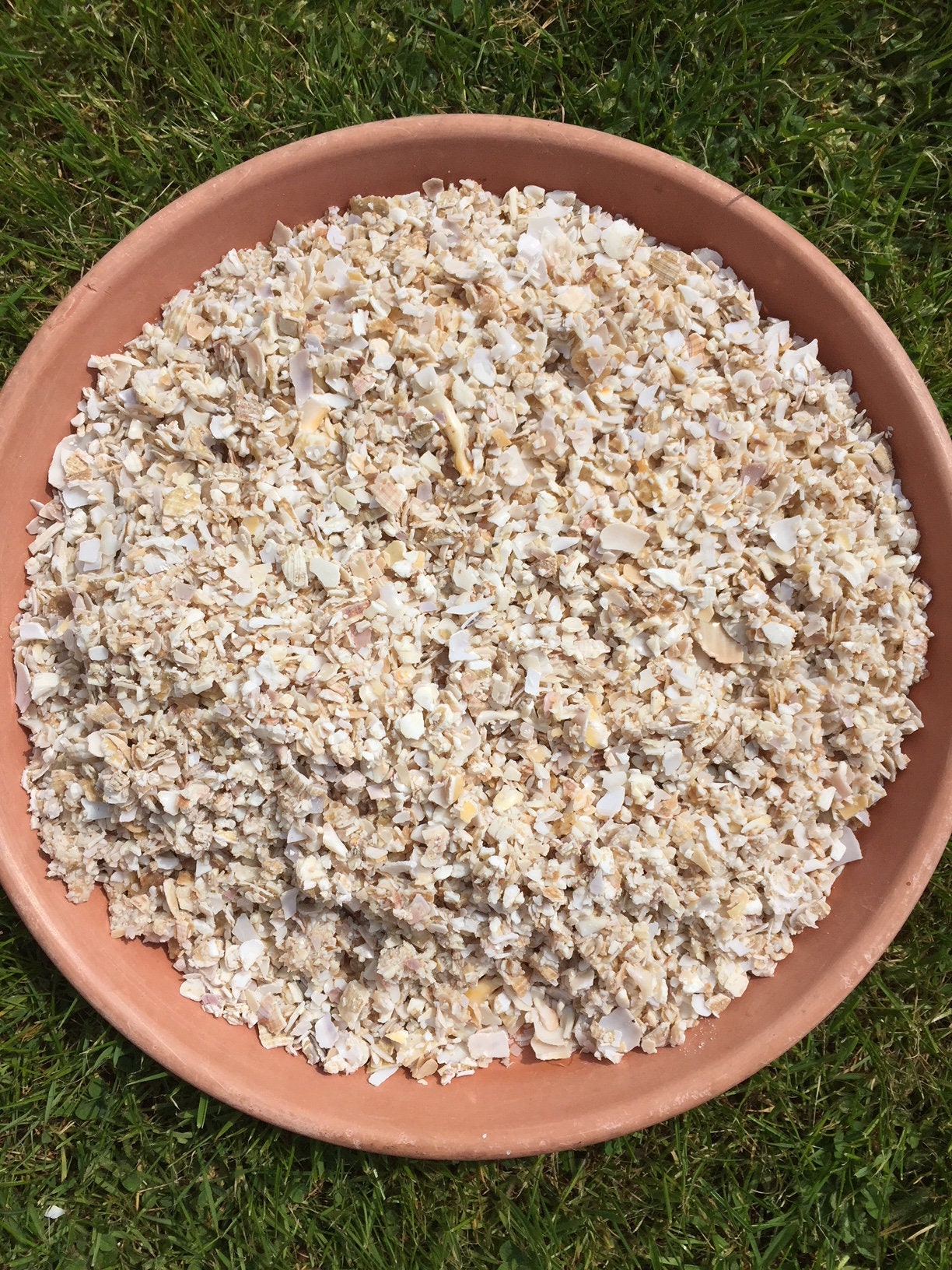 Crushed Sea Shells Washed & Dried 20.0 Kg - Etsy