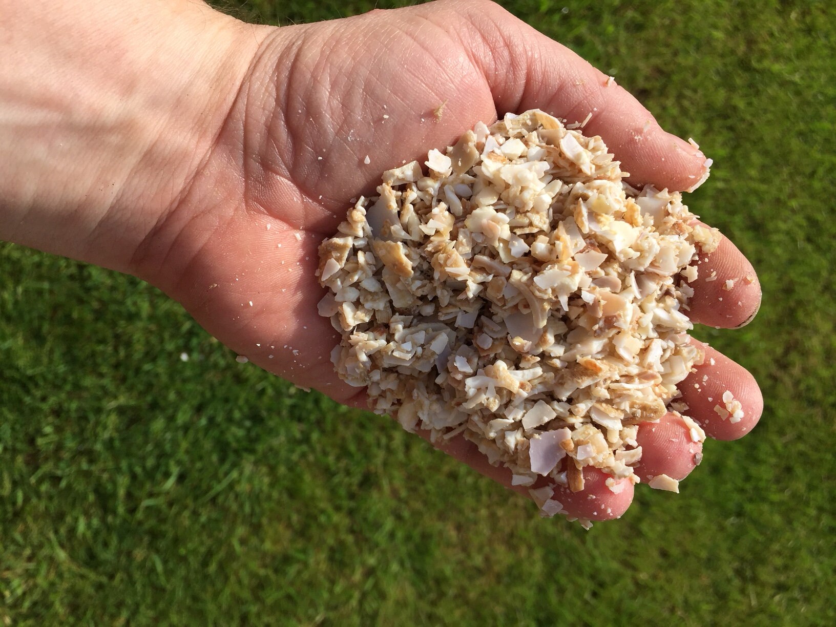 Crushed Sea Shells Washed & Dried 20.0 Kg | Etsy