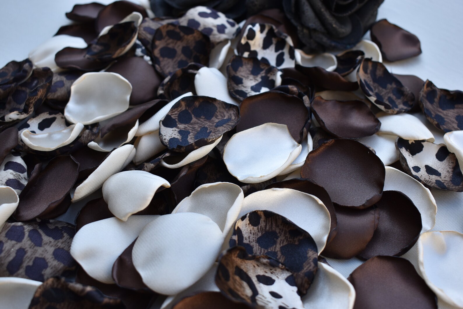 Leopard Print & Champagne Rose Petals African Wedding Animal | Etsy