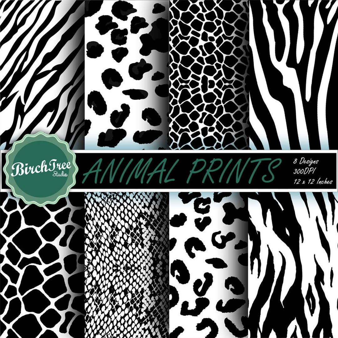 Animal Skin Clipart Animal Print Pattern Giraffe Leopard Snake Skin ...
