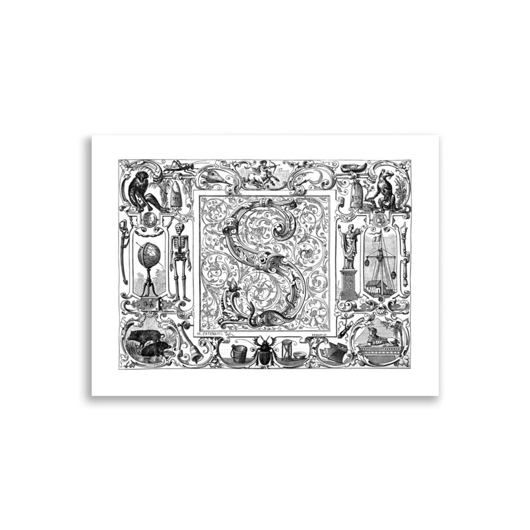 Letter S Poster Illustrated Alphabet 1850 French - Etsy