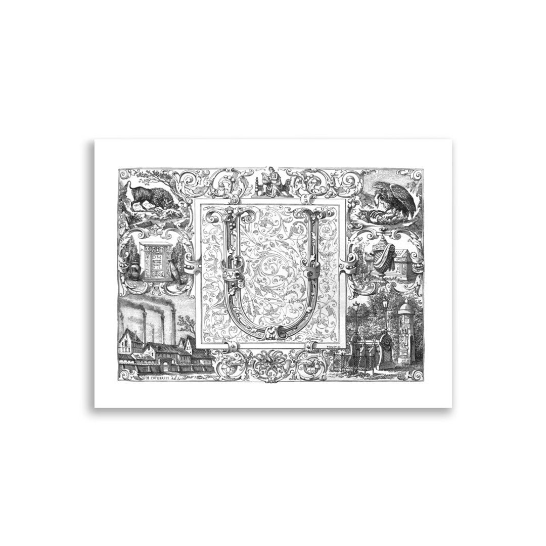 Letter U Poster Illustrated Alphabet 1850 French - Etsy