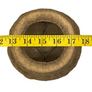 Sapucaia Pod - Monkey Pot - Hermit Crab Crabitat Tank Decor Hide - Moss ...