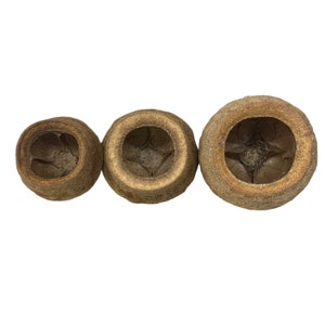 Sapucaia Pod - Monkey Pot - Hermit Crab Crabitat Tank Decor Hide - Moss ...