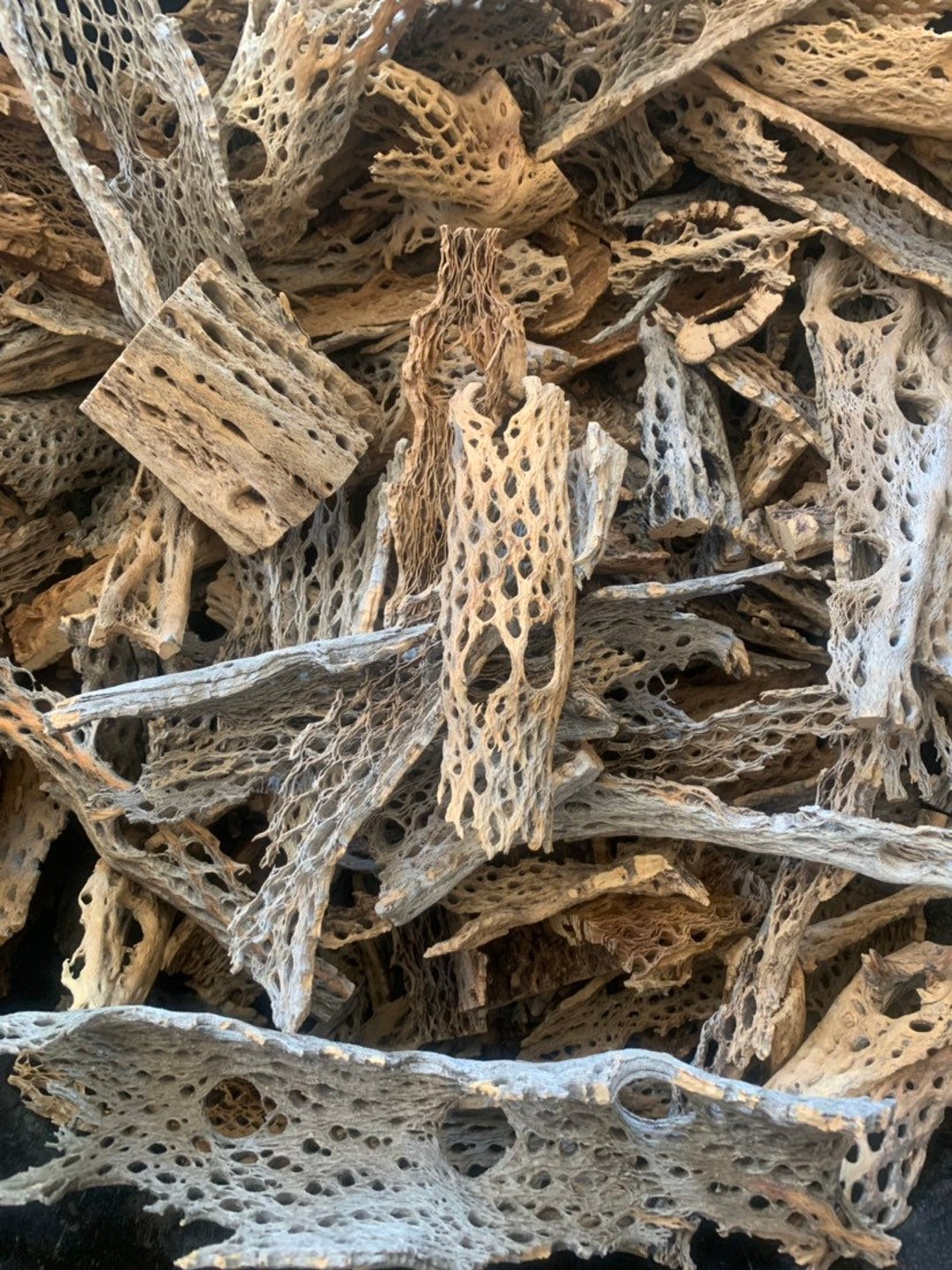Teddy Bear Cholla Wood Shards - Small, Medium, Large, 1 Lb, 5 Lb, or 10 ...