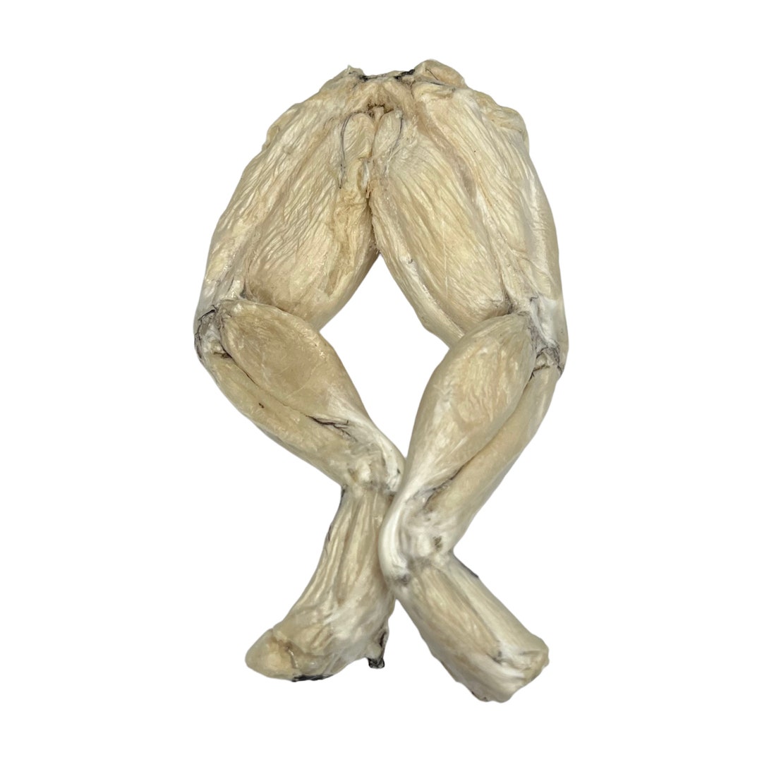 Freeze Dried Frog Legs for Hermit Crabs Protein, Fat Hermit Crab Food ...