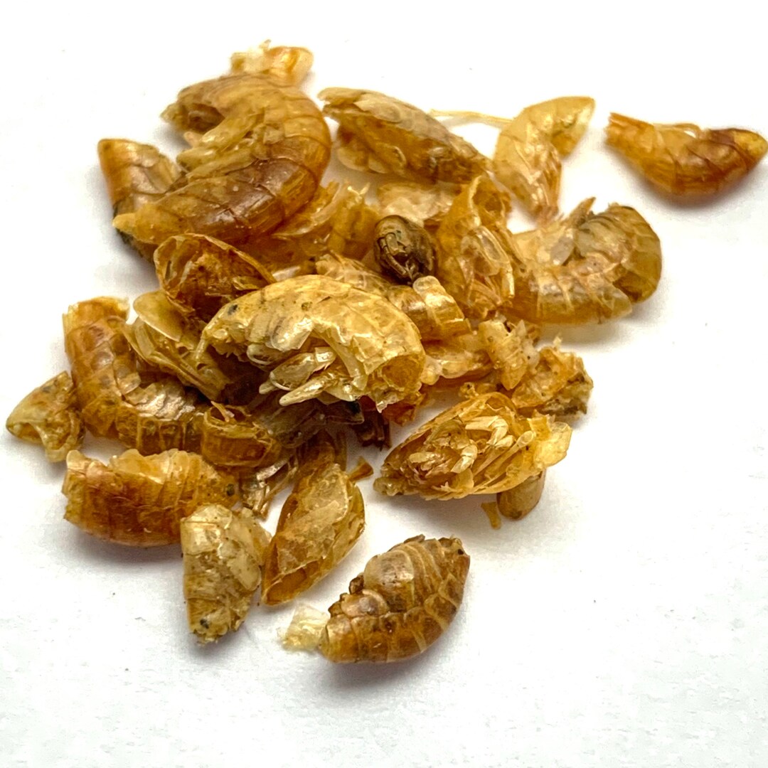 Gammarus Shrimp for Hermit Crabs - Chitin, Proteins - Pour N’ Go Food ...