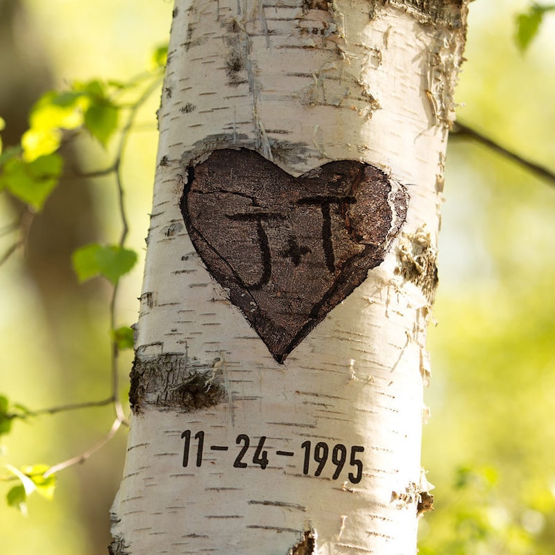 Names Carved on Tree - Etsy