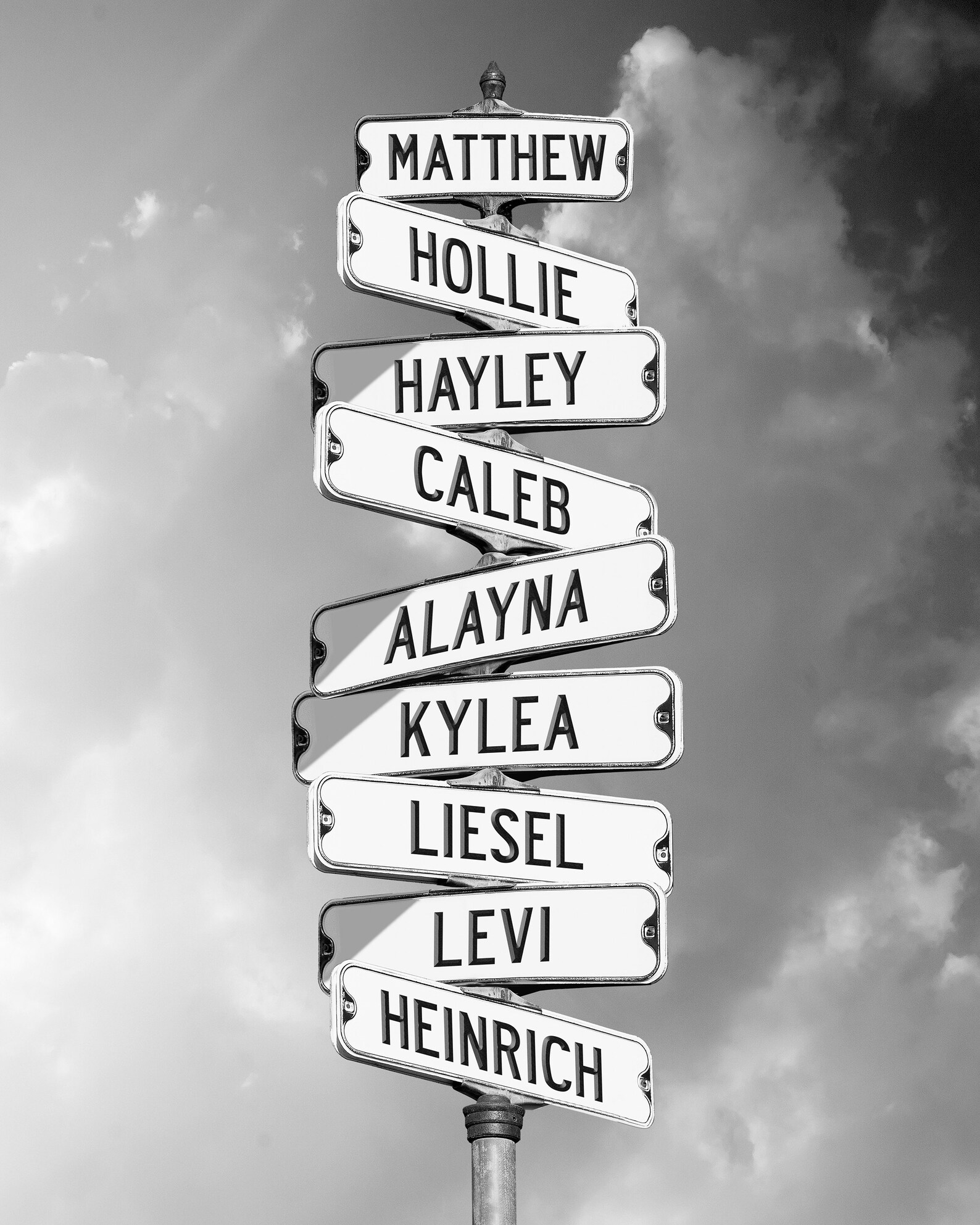 Nine Family Names Personalized Street Signs Digital Photo Art - Etsy