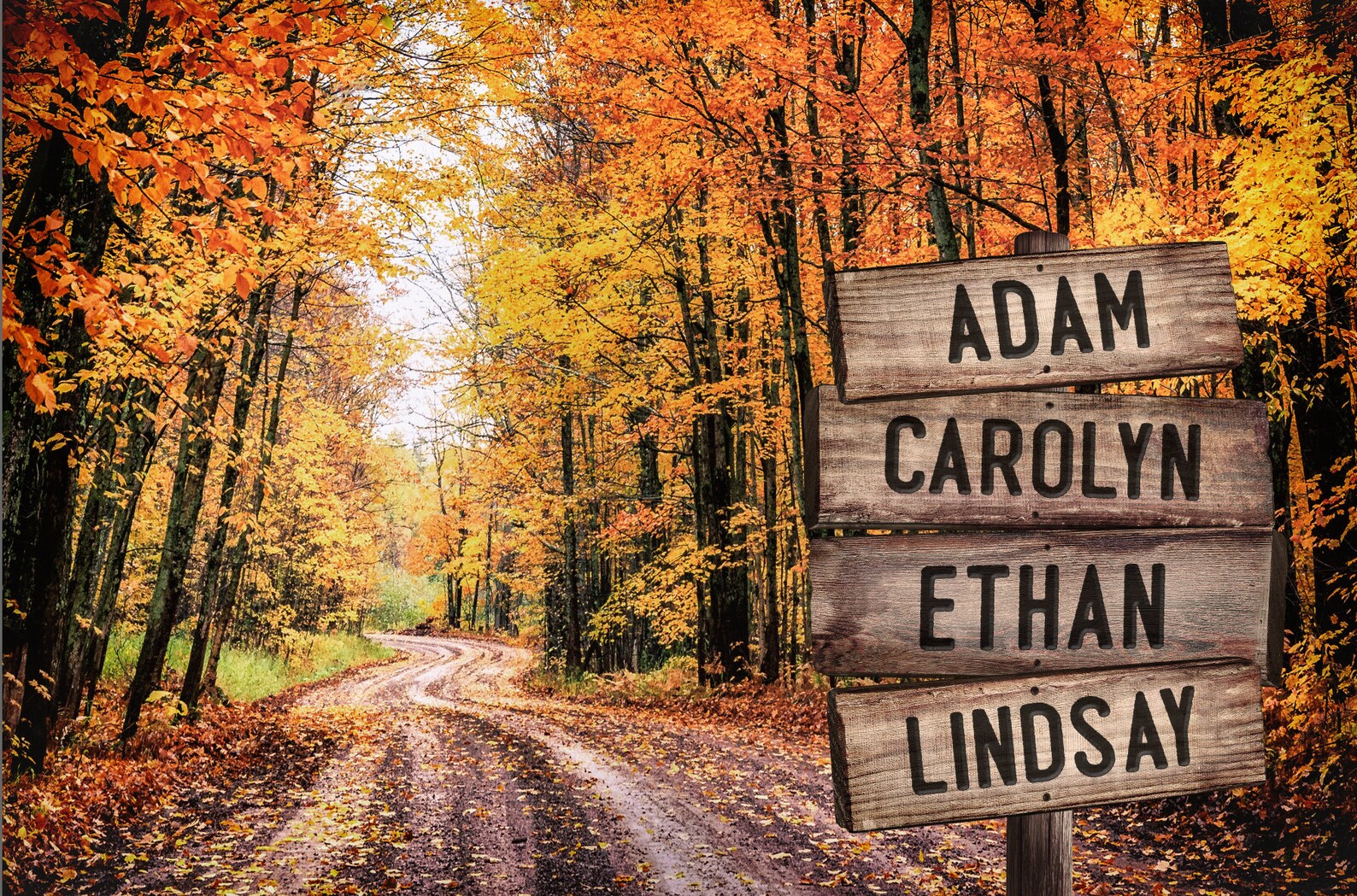 Grandkids Names Road Signs Country Road | Etsy