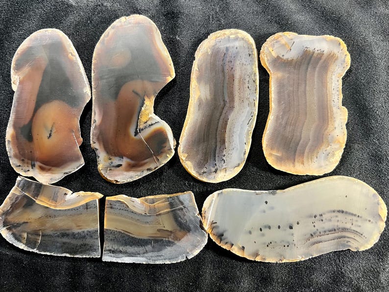 The How-to's of Cabbing and Carving Montana Agate Starter Kit - Etsy
