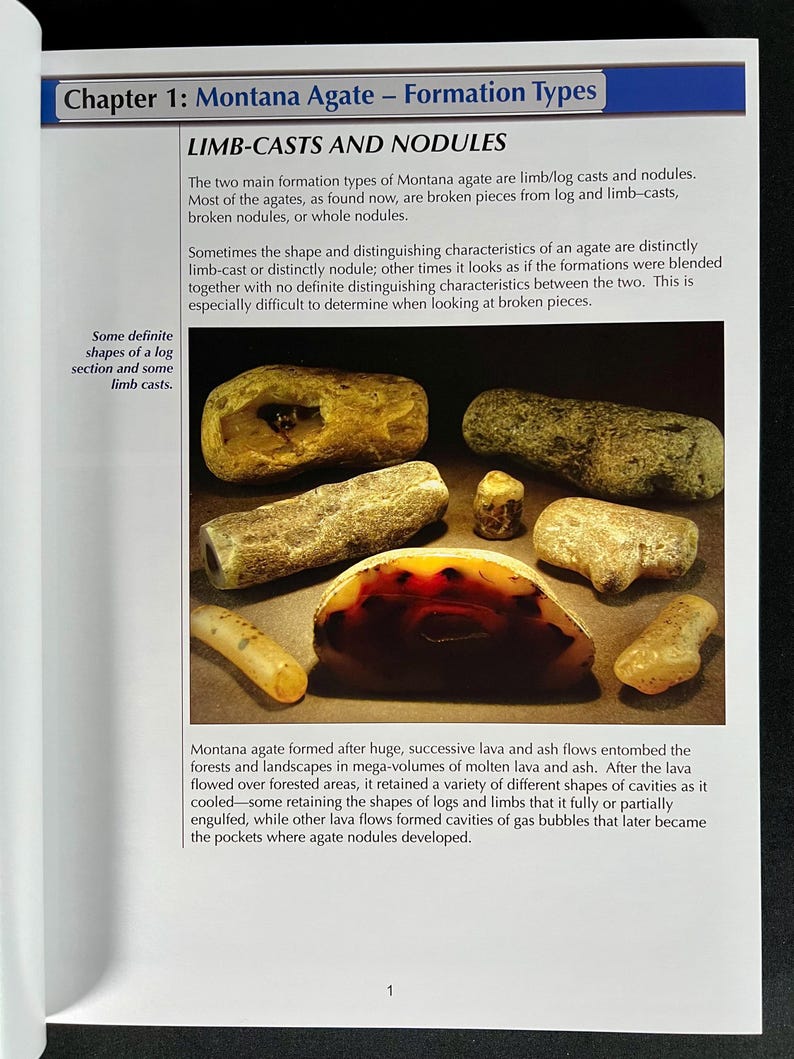 The Many Faces of Montana Agate, Identifying Agate Types, Reference ...