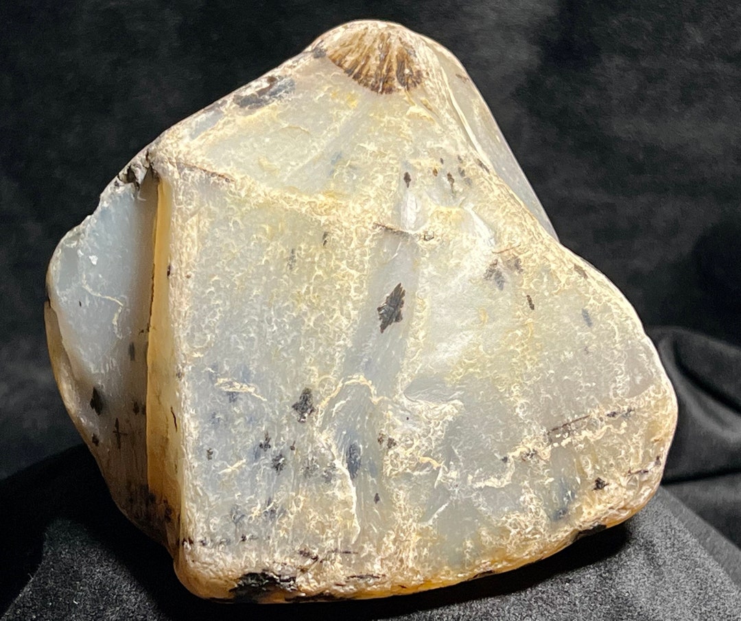 Montana Agate Rough Specimen - Etsy