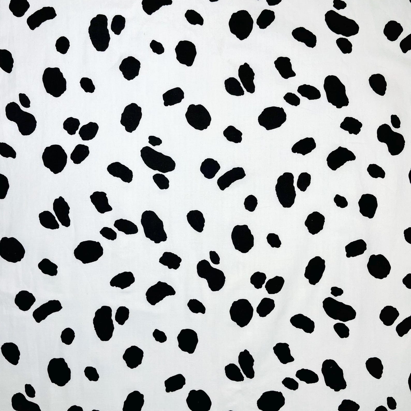 Holstein Cow Print Fabric #1654 by Fabric Traditions, 100% Cotton ...