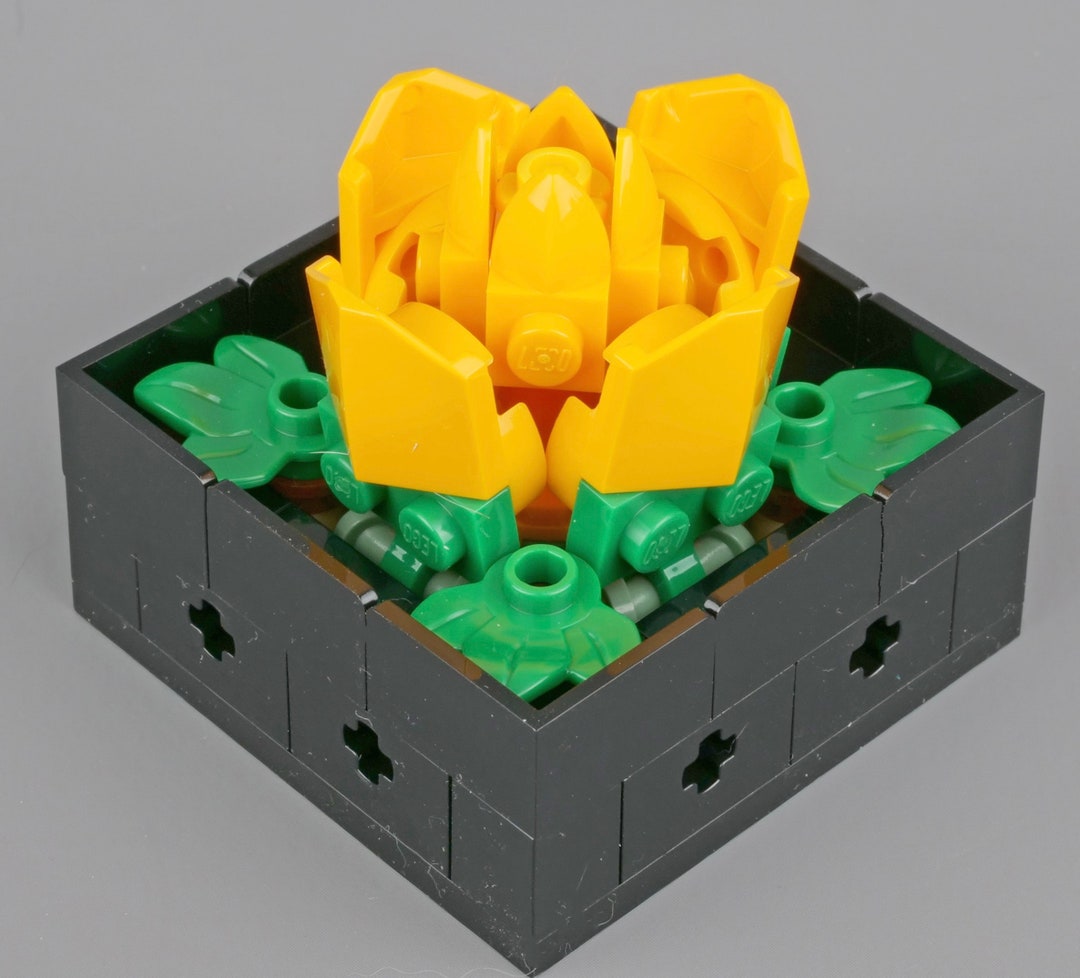 Orange Echeveria LEGO® Mini-build NEW - Etsy