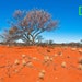 Australia, Photography, Outback, the Red Center, Landscape, Metal ...
