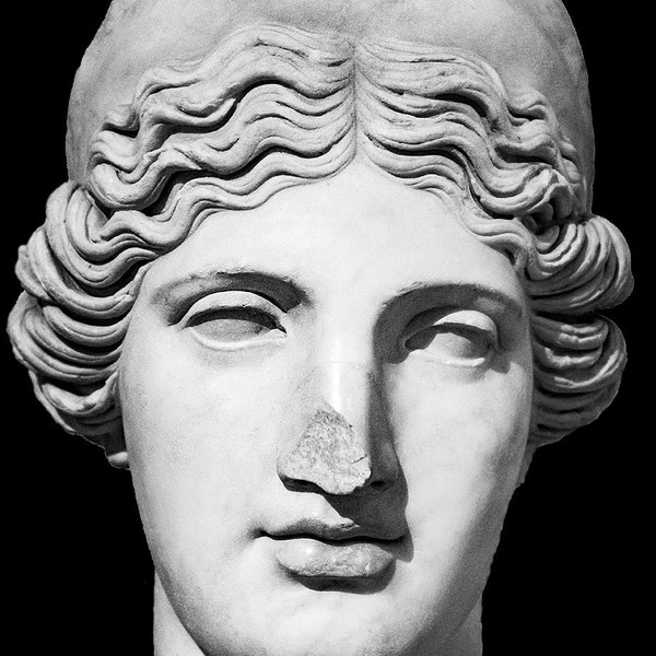 Roman Statue Canvas - Etsy