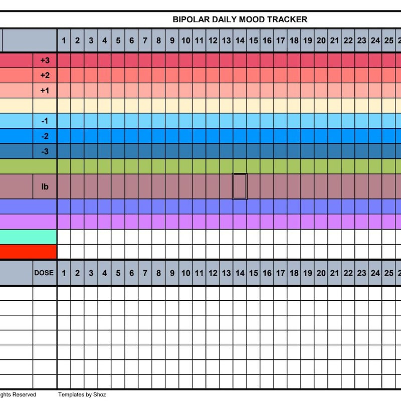Bipolar Mood Chart - Etsy