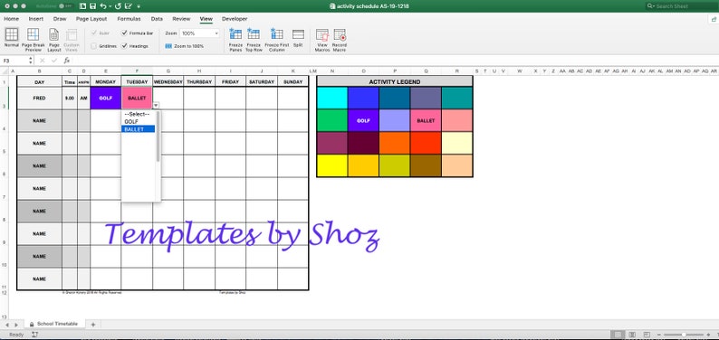 Activity Schedule Timetable Excel XLSX File With Auto Colour Fill ...