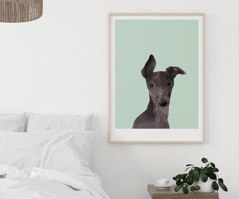 Italian Greyhound Print Italian Greyhound Wall Art - Etsy UK