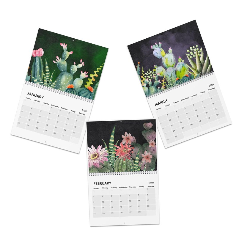 2025 Wall Calendar |desert Cactus Wall Color | 12 Month Southwest ...