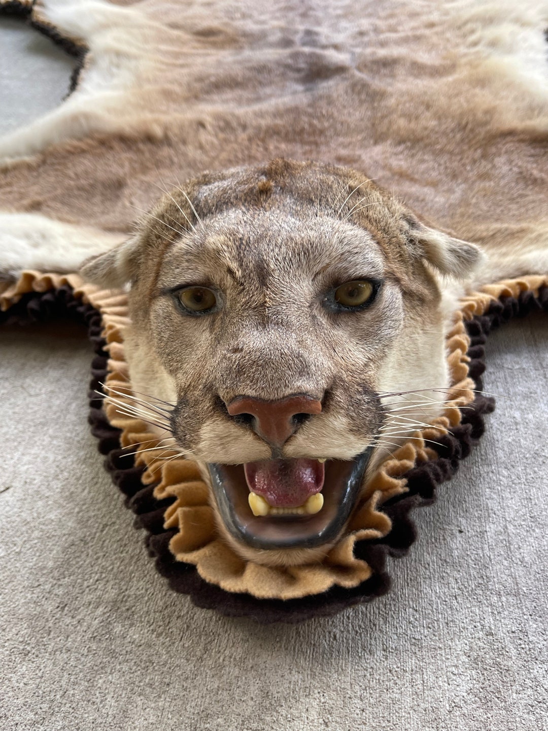 Cougar puma Concolor Rug, Mountain Lion, Wall Hanging - Etsy