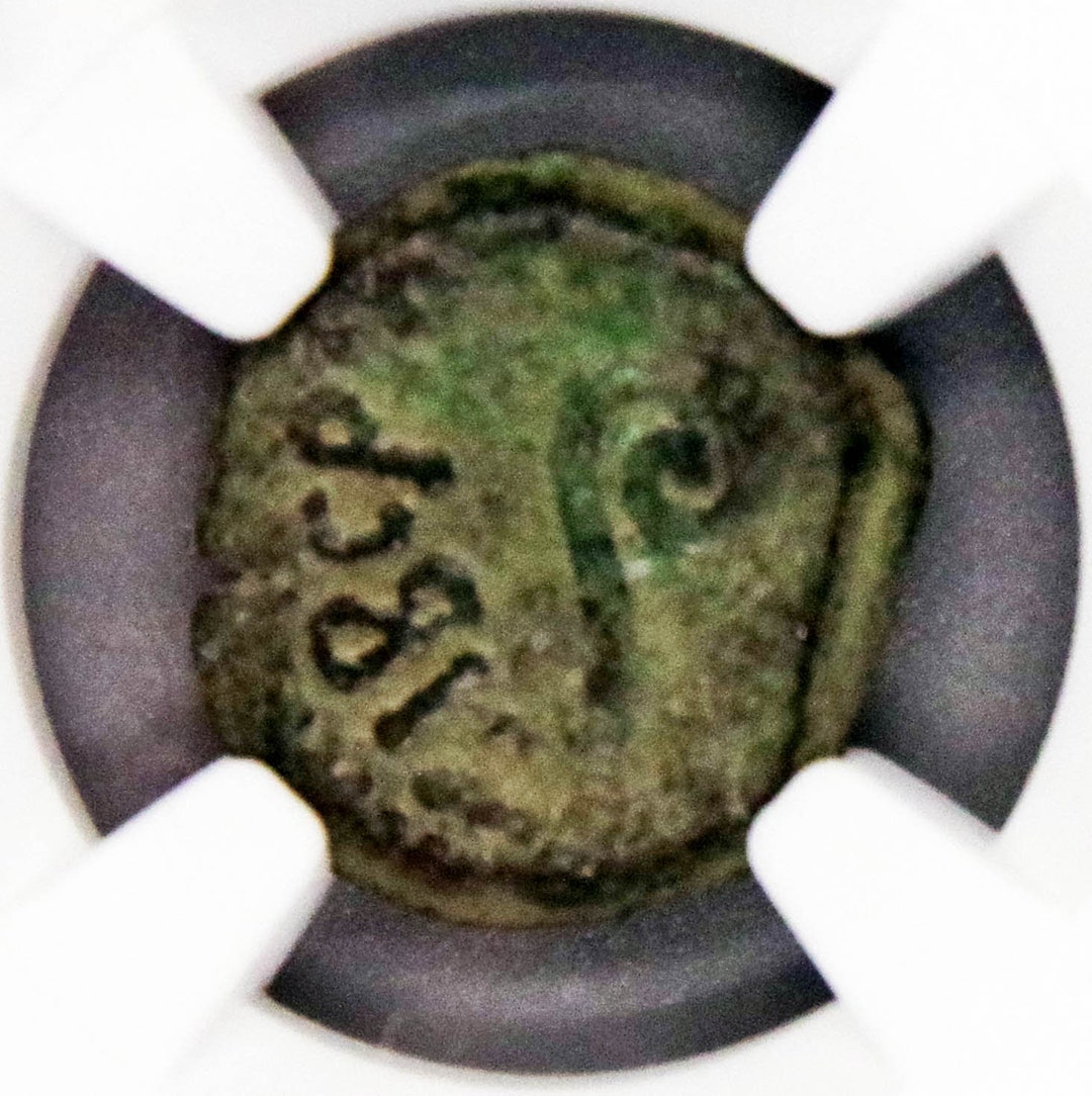 Pontius Pilate, Prutah, NGC Ch F Tiberius, AD30/31 Time Christ, LIH ...