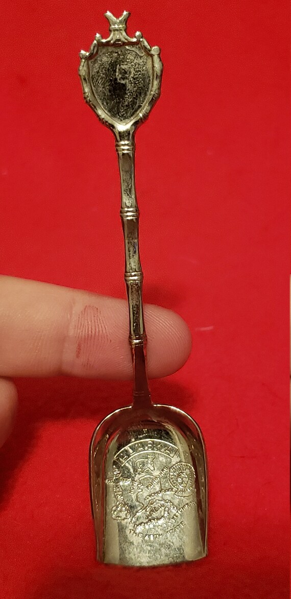Alaska Themed Spoon | Etsy