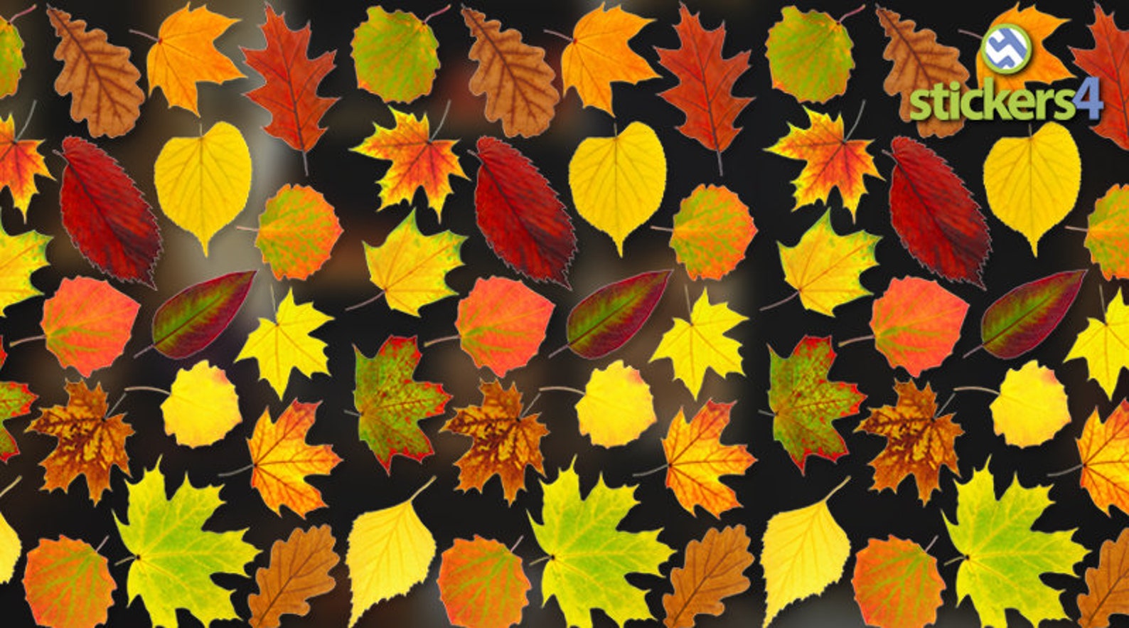 Photorealistic Autumn Leaves Shop Window Stickers Pack 3 62 - Etsy UK